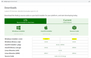 How to Install NPM and Node.js on Mac and Windows?