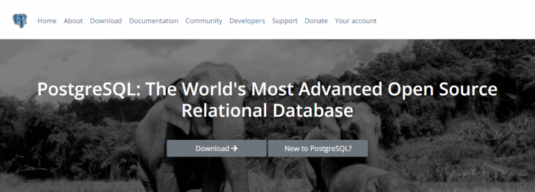 Top 12 Best Databases for Web Application Development in 2023