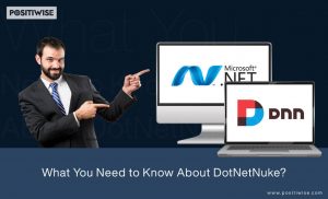 DotNetNuke Explained: What is DotNetNuke Used for?